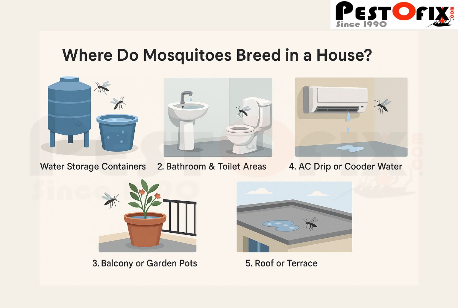 How to Stop Mosquitoes Breeding in My Home? | Pestofix
